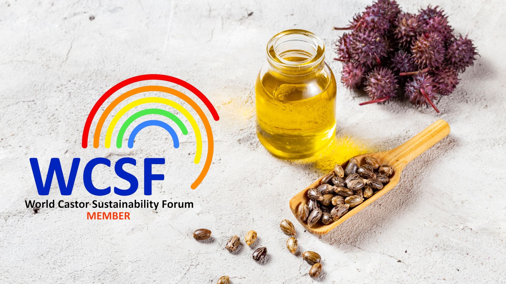 AGS becomes a founding member of the World Castor Sustainability Forum